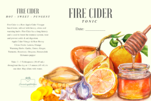 Natural Remedies| Fire Cider - Homemaking Without Fear