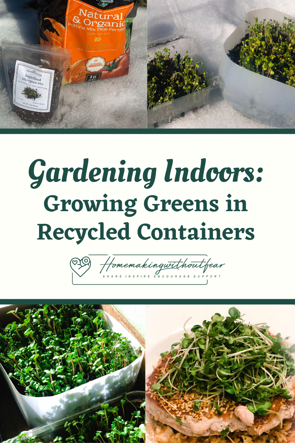 Growing Greens in Recycled Containers Homemaking Without Fear