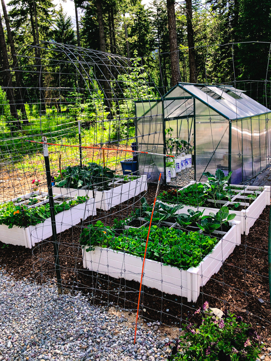 Small Potager Garden Inspiration - Homemaking Without Fear
