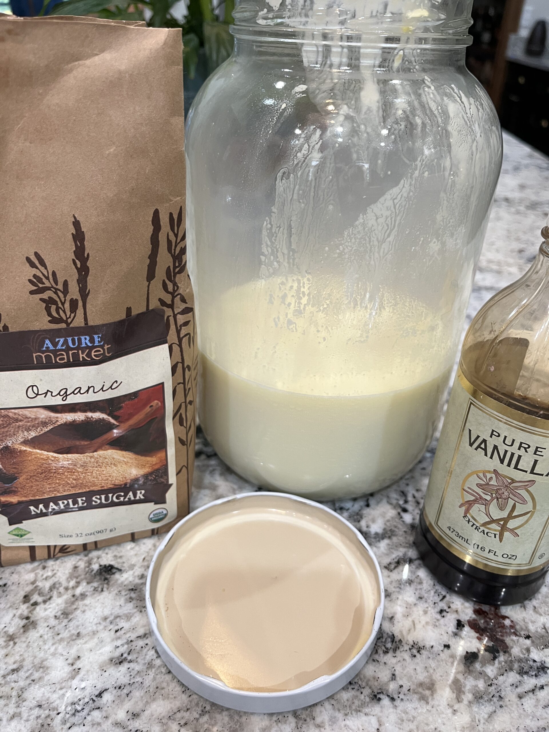 Homemade Raw Milk Gelato (no machine) - Homemaking Without Fear