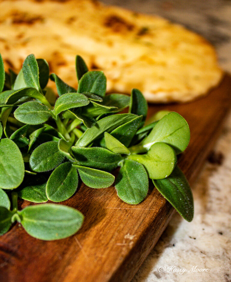 Borage Microgreens Star in Homemade Greek Gyro - Homemaking Without Fear